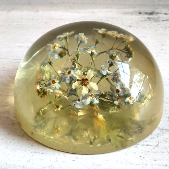 Vintage | Accents | 97s Vintage Lucite Encased Wildflower Paperweight ...